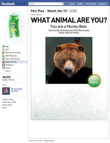 Timothy Stapleton: Creative Director › Digital